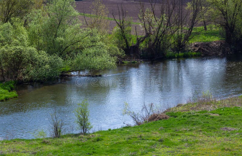 Landscape Beautiful Alluvial Forest at the River in Back Light in ...