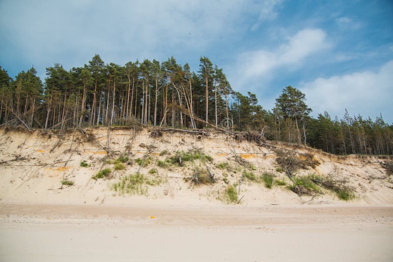 Landscape of Beautiful Baltic Sea Coast with Trees. Stock Image - Image ...