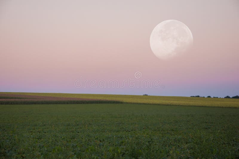 Landscape. Beautiful Big Moon Over the Green Field Stock Image - Image ...