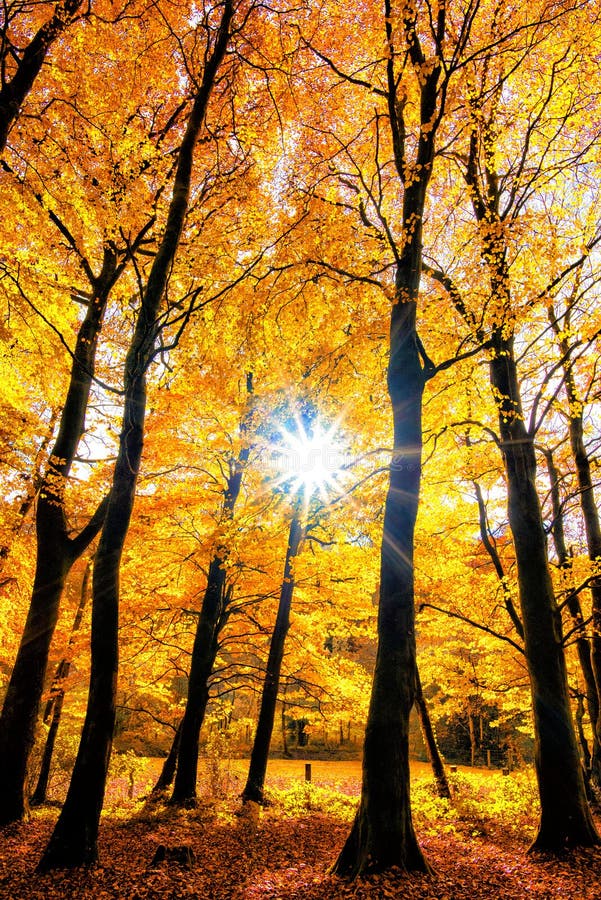 Landscape stock image. Image of beautiful, colours, autumn - 110576525