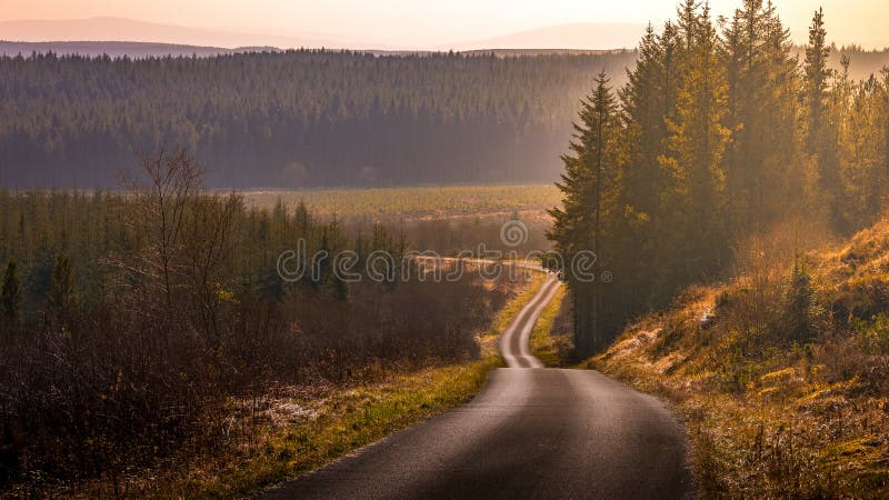 Landscape of Beautiful Forest in Ireland Stock Photo - Image of ...