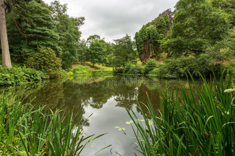 Landscape of a Beautiful Green Forest with a Lake Stock Image - Image ...