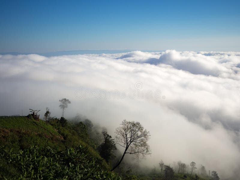 Landscape stock photo. Image of autumn, beautiful, morning - 83929626