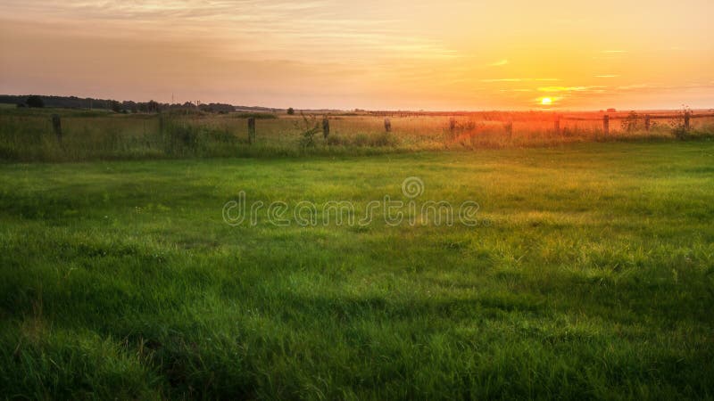 Landscape, Beautiful Sunny Sunset in a Field Stock Image - Image of ...