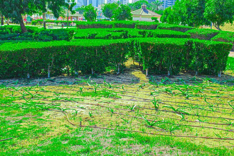 Landscape Beautiful View Outdoor Plants Stock Image - Image of view ...