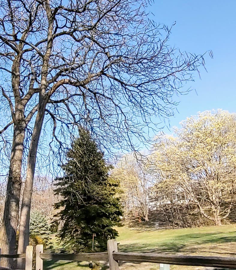 Landscape Beginning of Spring Stock Photo - Image of nature, autumn ...