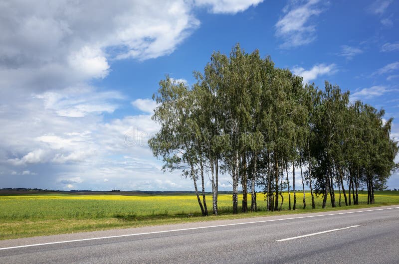 Belarus road sign stock image. Image of sign, design - 90540589