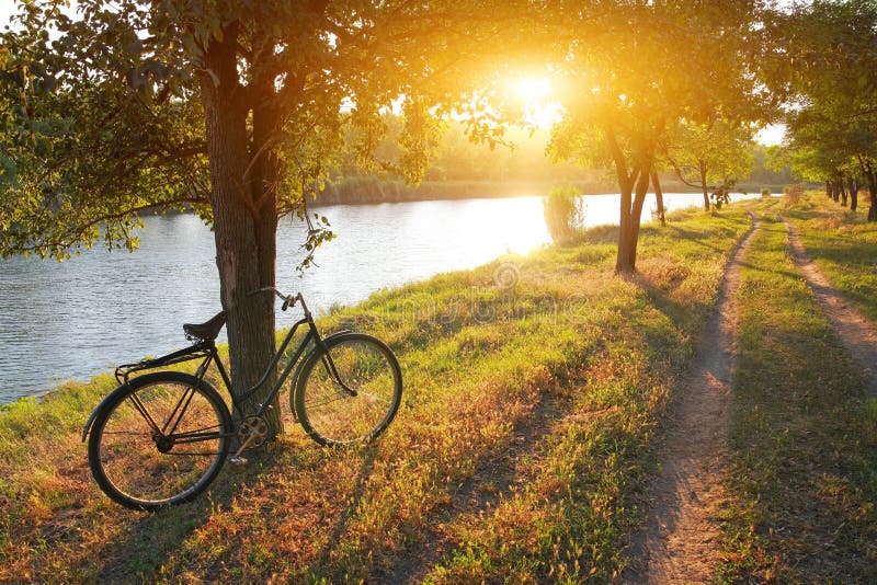 Landscape with bicycle stock image. Image of summer, backlight - 86445213