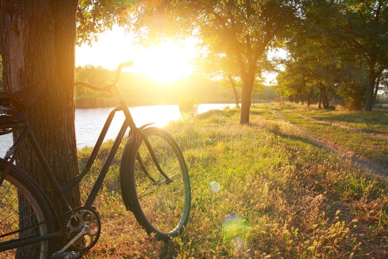 Landscape with bicycle stock photo. Image of scene, evening - 84107670