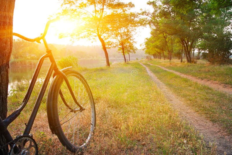Landscape with bicycle stock image. Image of summer, backlight - 86445213