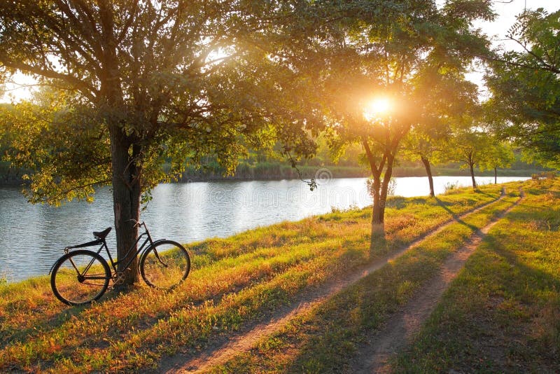 Landscape with bicycle stock image. Image of summer, backlight - 86445213