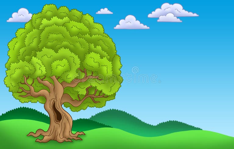 Big Tall Tree Stock Illustrations – 3,896 Big Tall Tree Stock ...