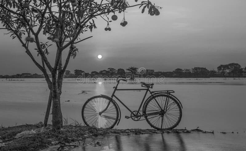 Landscape Black and White Alone Tree Stock Photo - Image of tree ...