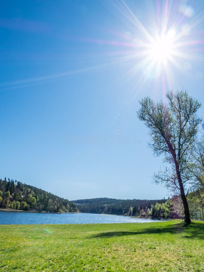 Landscape at the Bleilochtalsperre in Thuringia Germany Stock Image ...