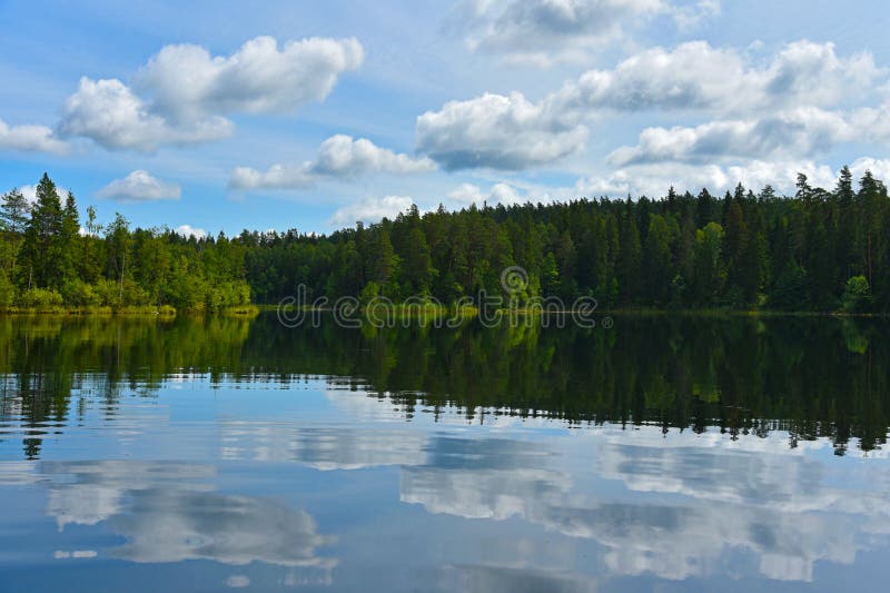 Landscape Blue Lake in the Summer Forest Stock Photo - Image of ...