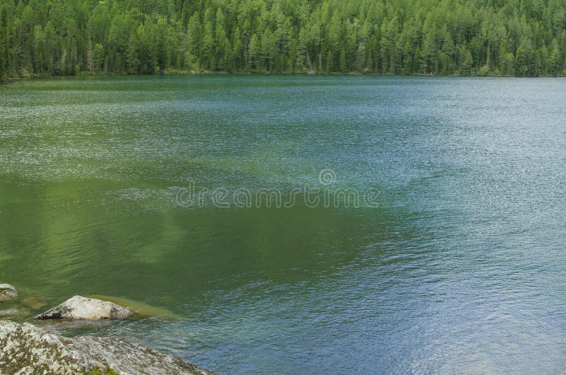 Landscape Blue Lake among a Taiga Stock Image - Image of tree, lake ...