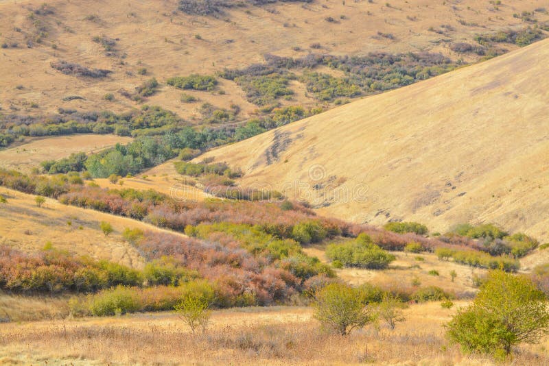 The Landscape of the Blue Mountains in Northeastern Oregon Stock Image ...