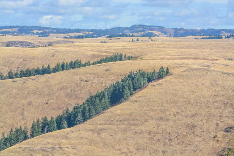 The Landscape of the Blue Mountains in Northeastern Oregon Stock Photo ...