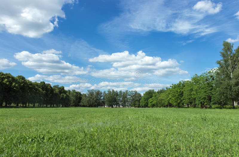 Landscape with Blue Sky and Green Grass Stock Image - Image of fresh ...