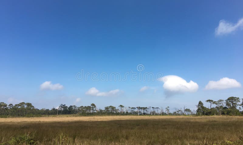 Landscape Blue Sky View and a Desolate Meadow Field Stock Photo - Image ...