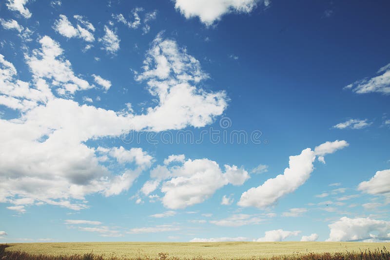 Landscape on a Boundless Field and the Sky Stock Image - Image of ...