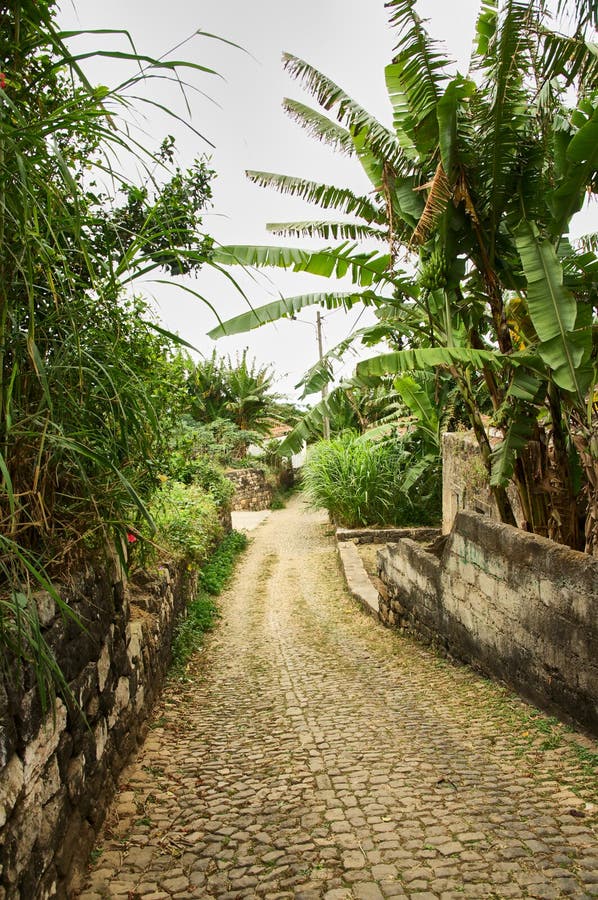 Landscape of Brava Island in the Archipelago of Cabo Verde Stock Photo ...