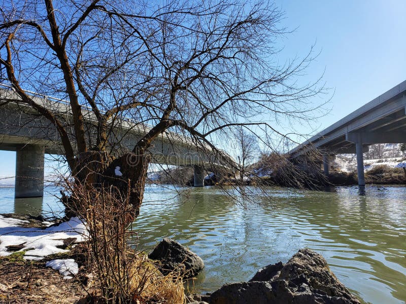 Landscape Bridge at the Park Stock Photo - Image of bridge, park: 152434494