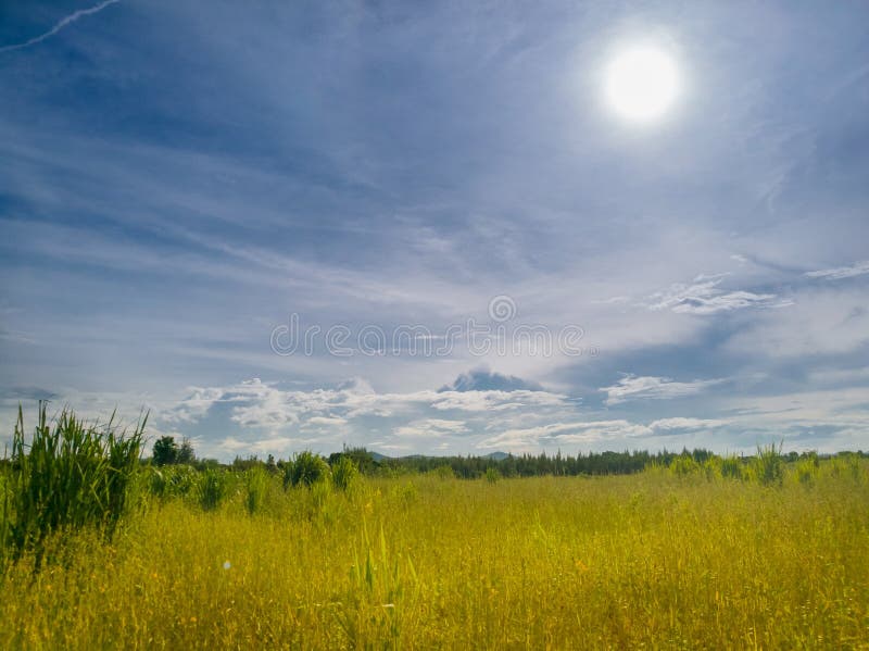 Beautiful Summer Landscape. Stock Photo - Image of white, rural: 99737804