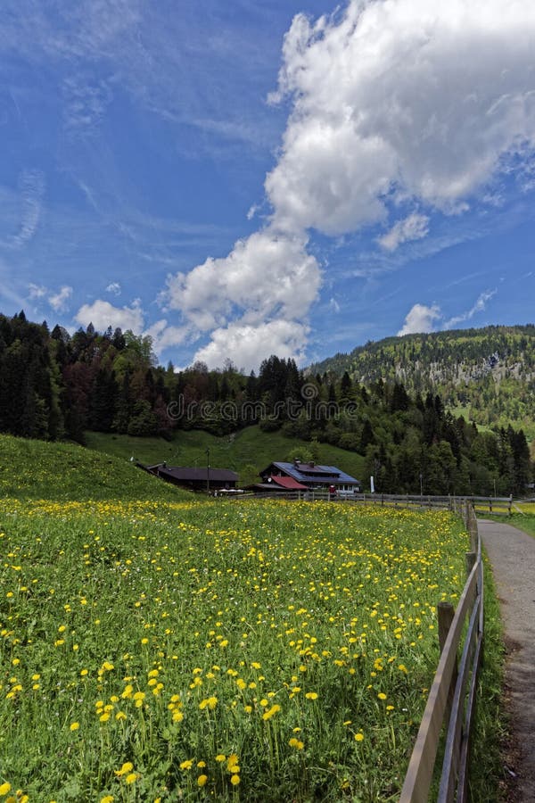 Bucolic landscape stock photo. Image of hills, autumnal - 16649468