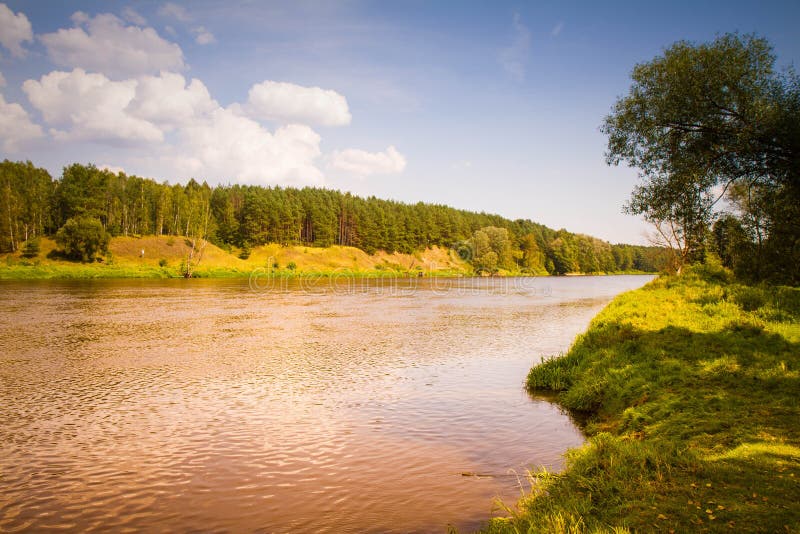 The Bug River, Poland stock image. Image of border, reed - 74390465