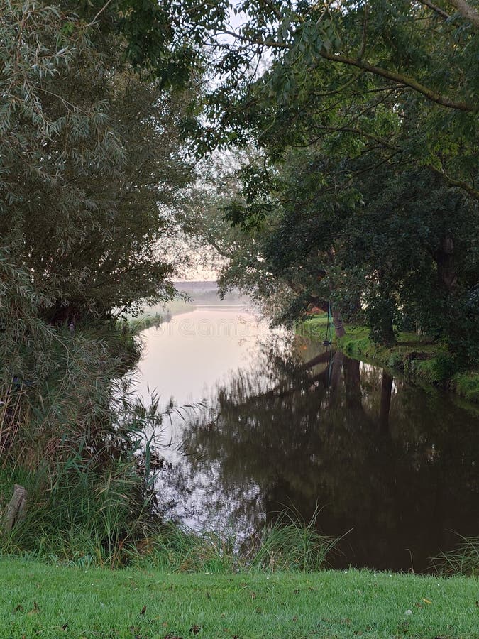 Landscape Canal View from Behind Trees Stock Photo - Image of leaf ...