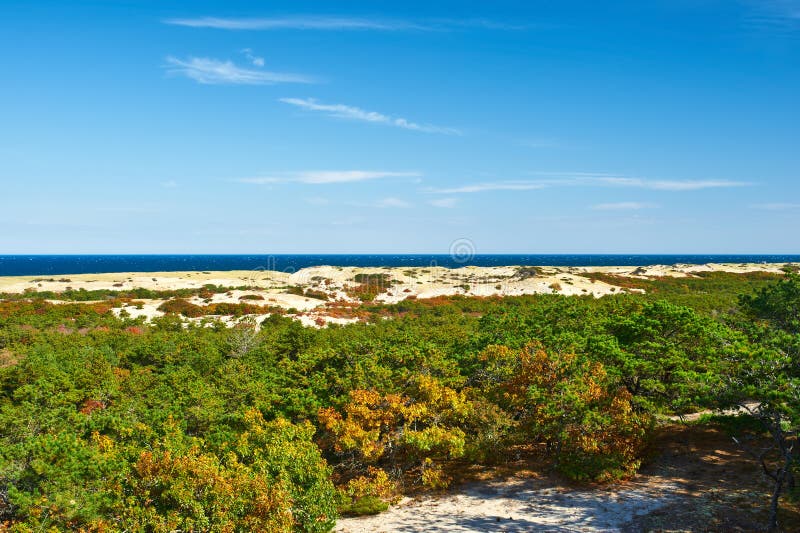 Landscape at Cape Cod stock photo. Image of beach, seashore - 53285168