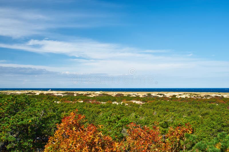 Landscape at Cape Cod stock image. Image of sand, horizon - 53867059
