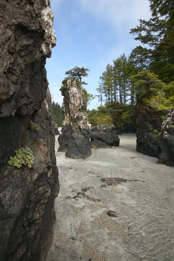 Cape Scott Provincial Park - Sea Stacks at San Josef Bay (Vancouver ...