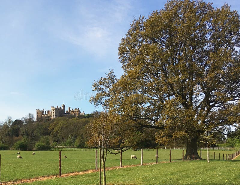 Landscape Castle and tree stock image. Image of country - 91072227