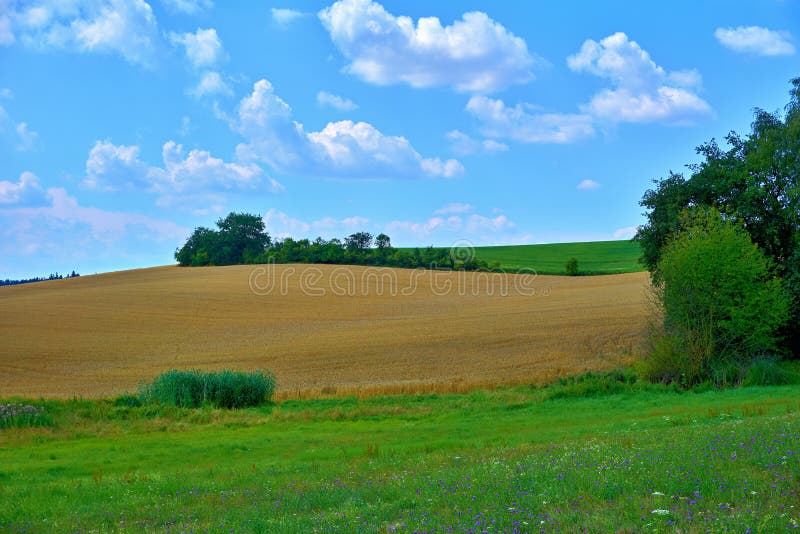 Landscape of Central Bohemia Stock Photo - Image of grain, hill: 121925514