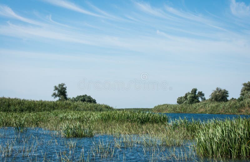 611 Volga Delta Stock Photos - Free & Royalty-Free Stock Photos from ...