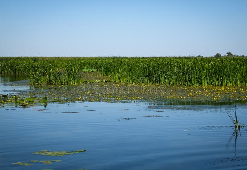 Landscape of Central Russia, Volga Delta Stock Image - Image of europe ...