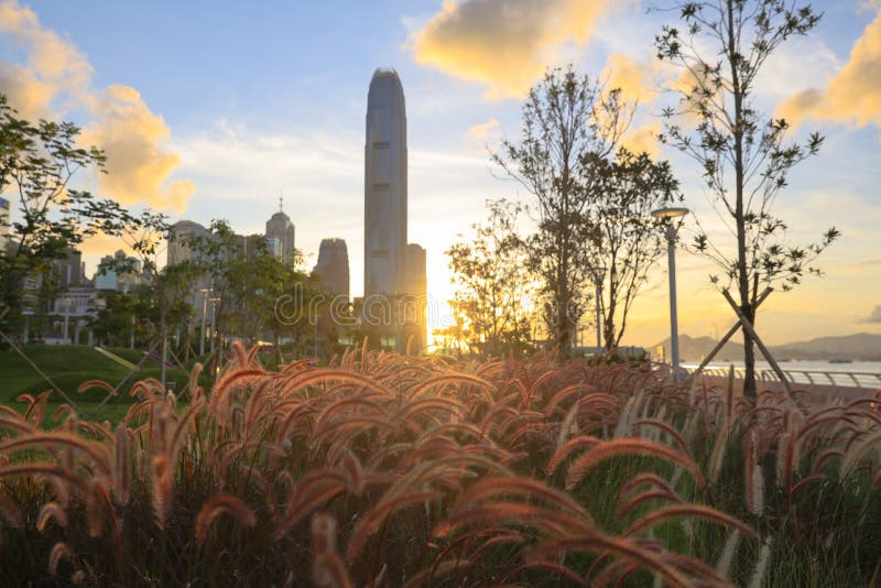 The Landscape of the Central and Western District Promenade, Central ...