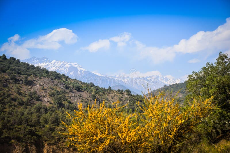 Landscape Chile stock photo. Image of vacation, landscape - 78614116