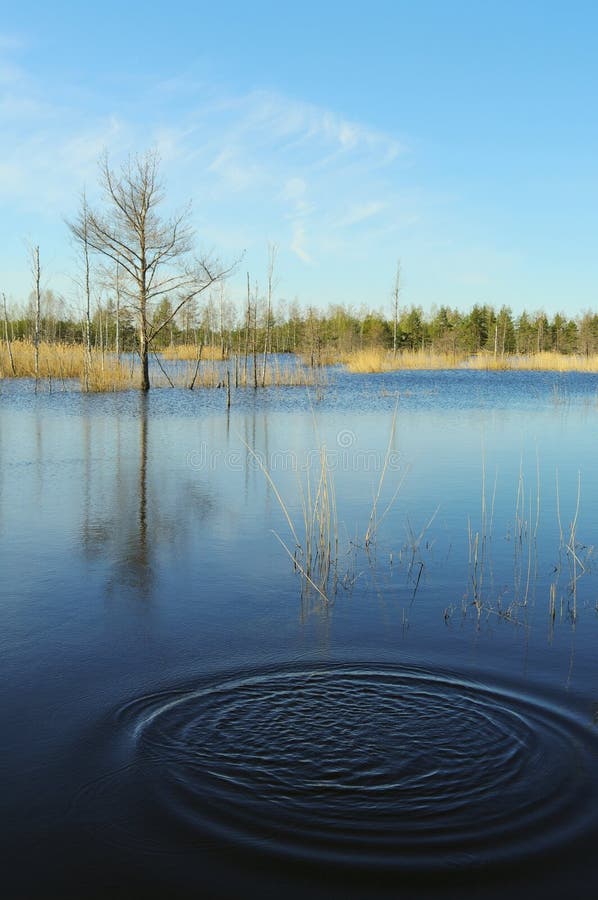 Landscape with circle. stock photo. Image of reflection - 16080278