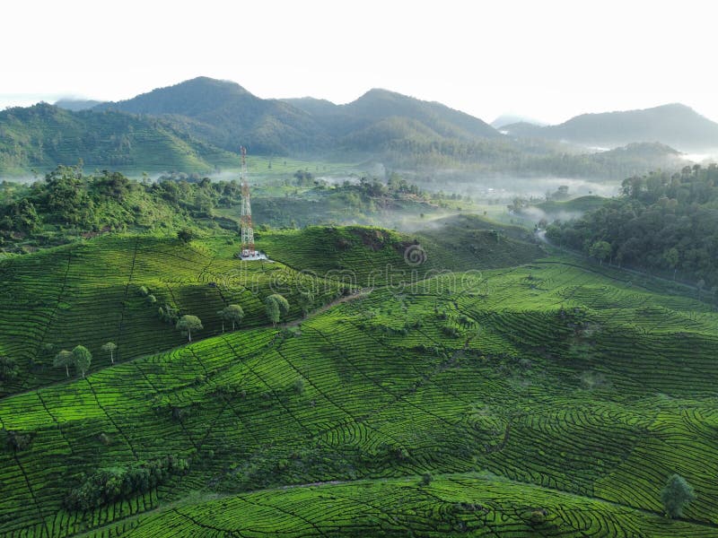 Landscape at Ciwidey, West Java Stock Photo - Image of green, west ...