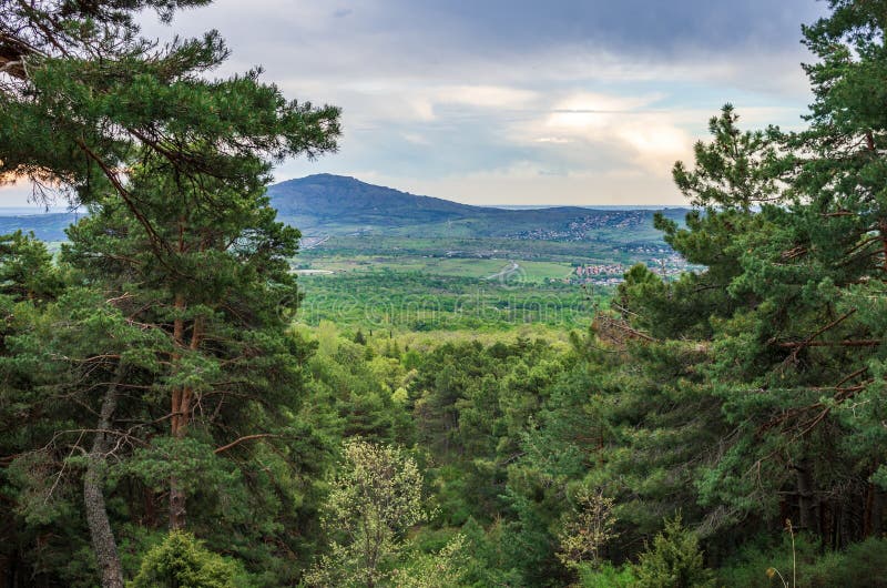 Landscape from the Clearing of a Forest Stock Photo - Image of ...