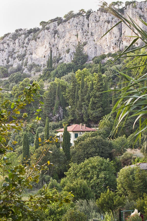 Marjan Park in Dalmatia stock photo. Image of mountain - 342515678