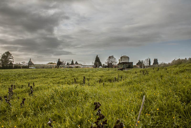 Fondo Humo Verde Stock Photos - Free & Royalty-Free Stock Photos from ...