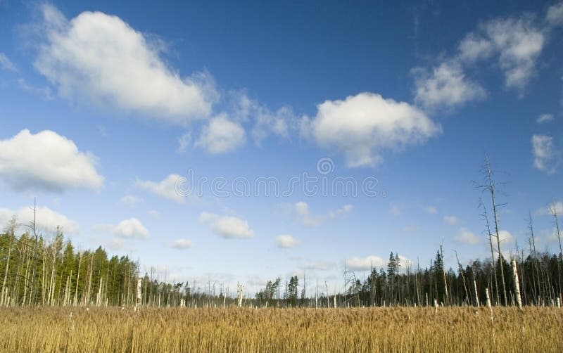 Landscape with clouds. stock image. Image of green, tree - 13981221