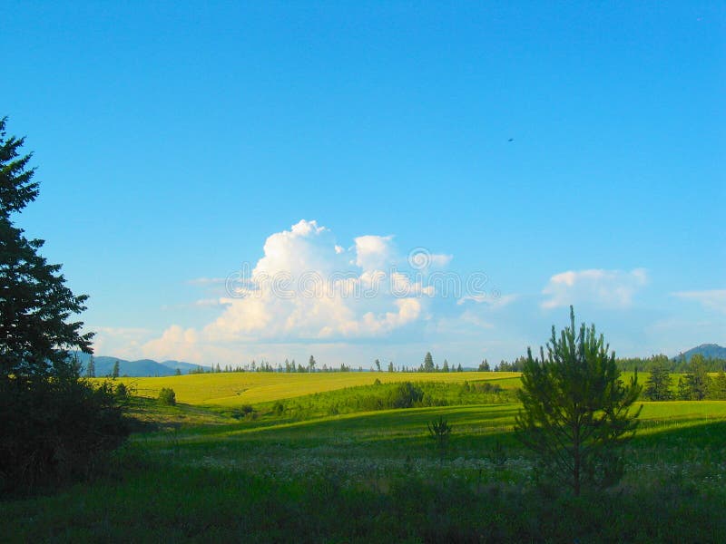Landscape with Clouds stock image. Image of green, meadow - 26611637