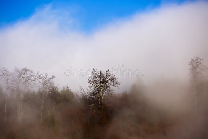 Landscape with Clouds and Mist Over Hills Covered in Forests in Stock ...