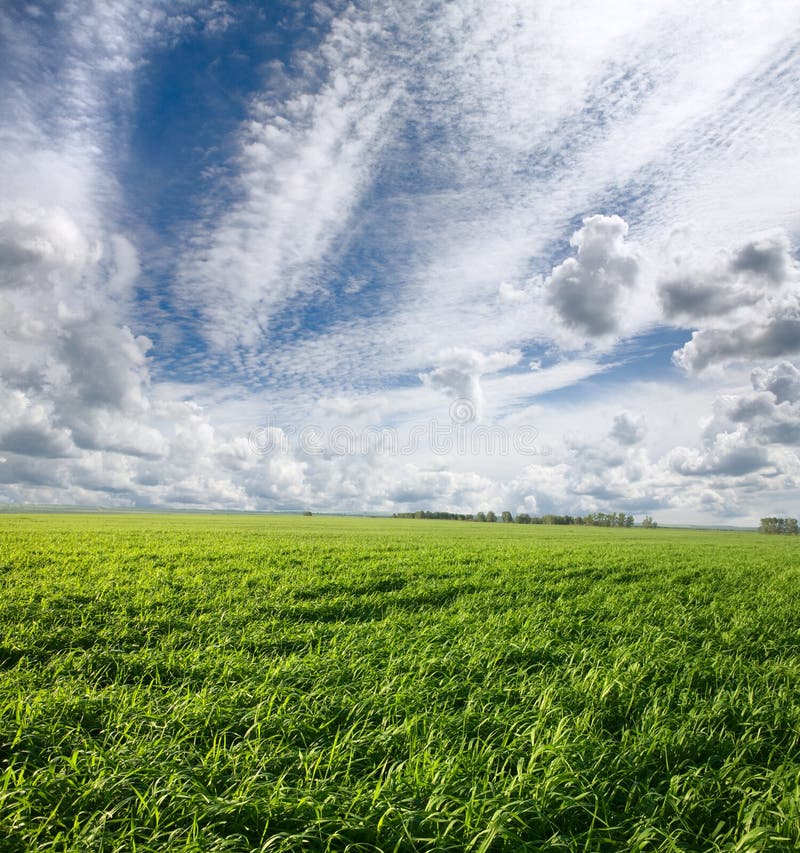 Landscape and cloudy sky stock photo. Image of freedom - 10317262