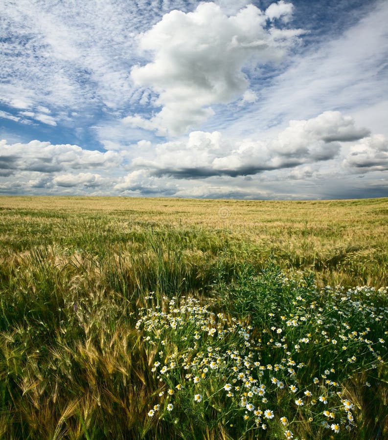 Landscape and cloudy sky stock photo. Image of hill, summer - 10384130